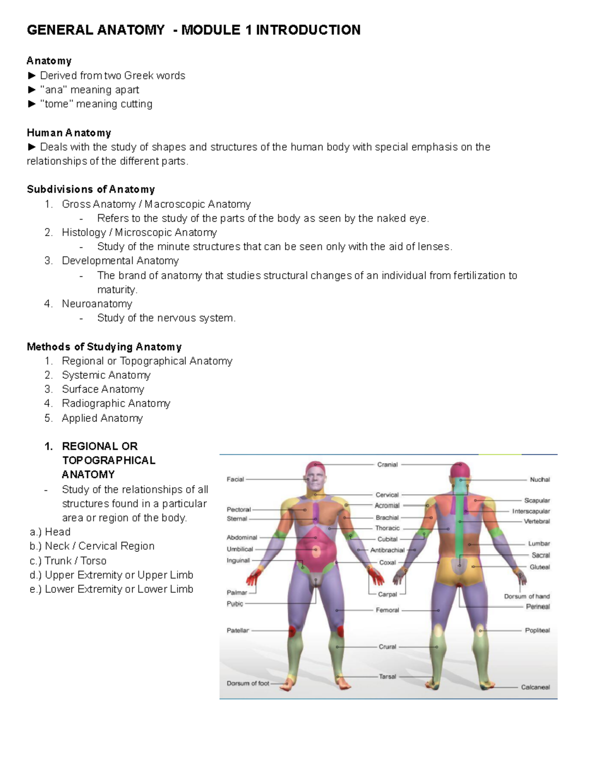 Introduction to General Anatomy 1 Module 1-2 - GENERAL ANATOMY - MODULE ...