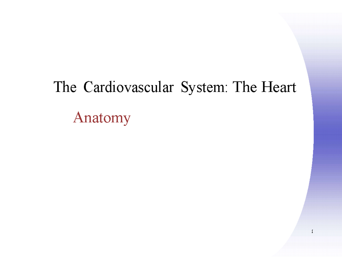 CV System Pdf To Word - The Cardiovascular System: The Heart Anatomy 1 ...