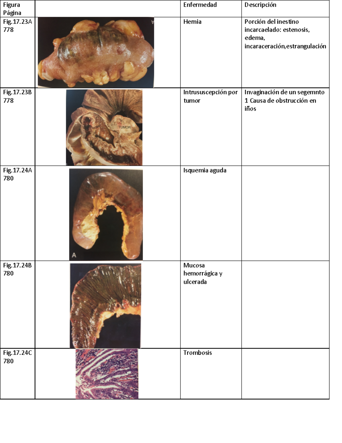 Guia Pato 2 Segundo Parcial. - Warning: TT: undefined function: 32 Figura Página Enfermedad ...