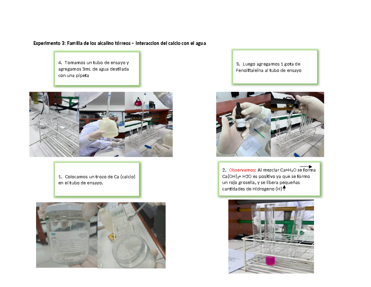 Experimento 3 - quimica - Química Orgánica 1 - Experimento 3: Familia de los alcalino térreos ...