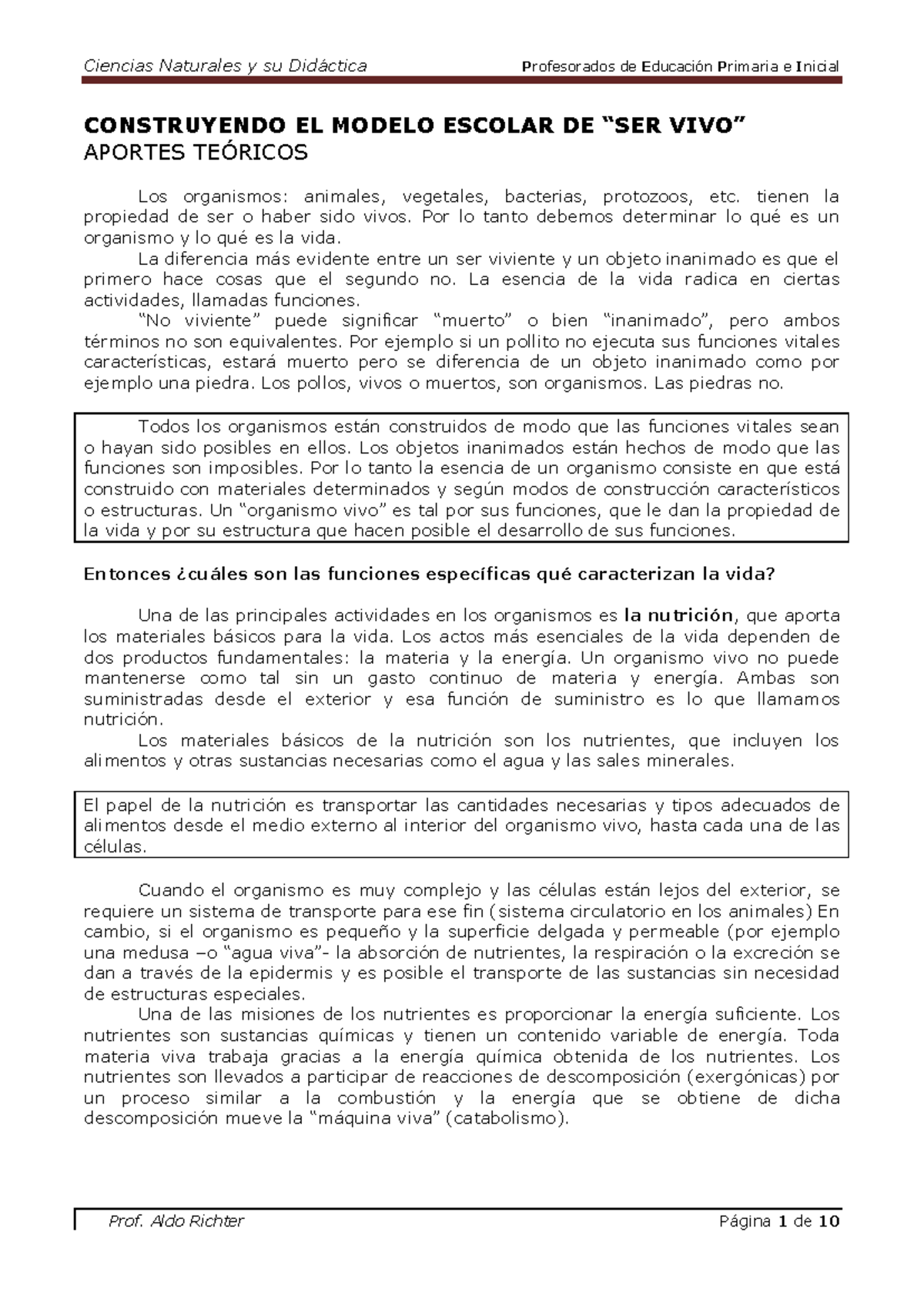 Apuntes sobre el modelo de SER VIVO - CONSTRUYENDO EL MODELO ESCOLAR DE ...