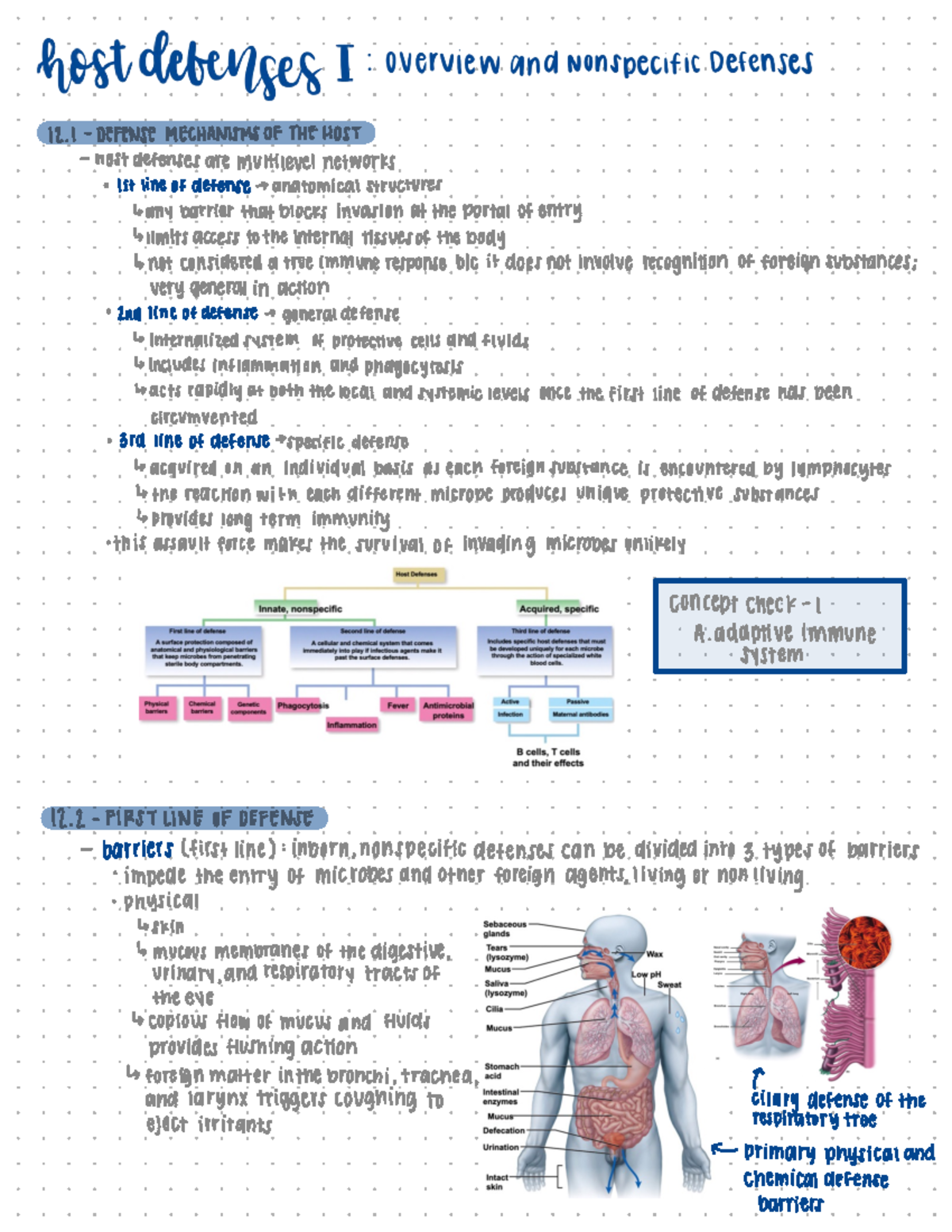 WKU BIOL 207 Chapter 12 - Host Defenses 1 - DEFENSE MECHANISMS OFTHE ...