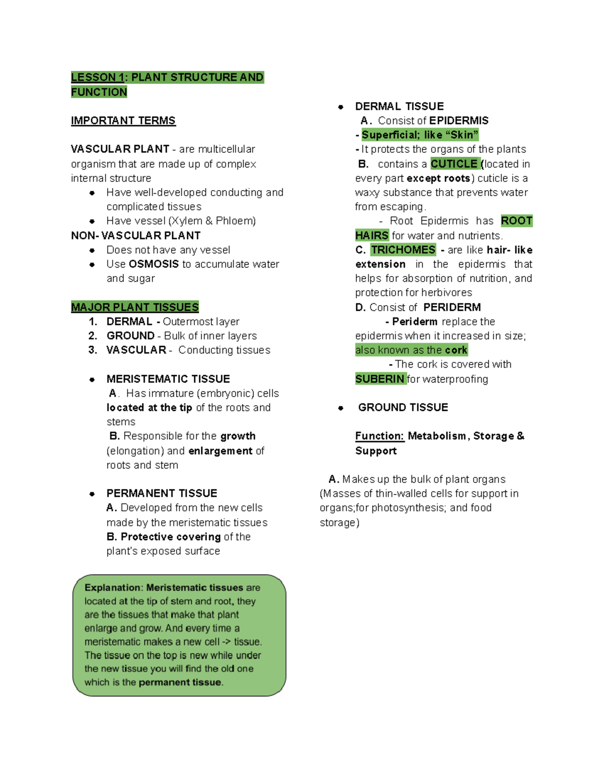 Inbound 3052531986104226715 - LESSON 1: PLANT STRUCTURE AND FUNCTION ...
