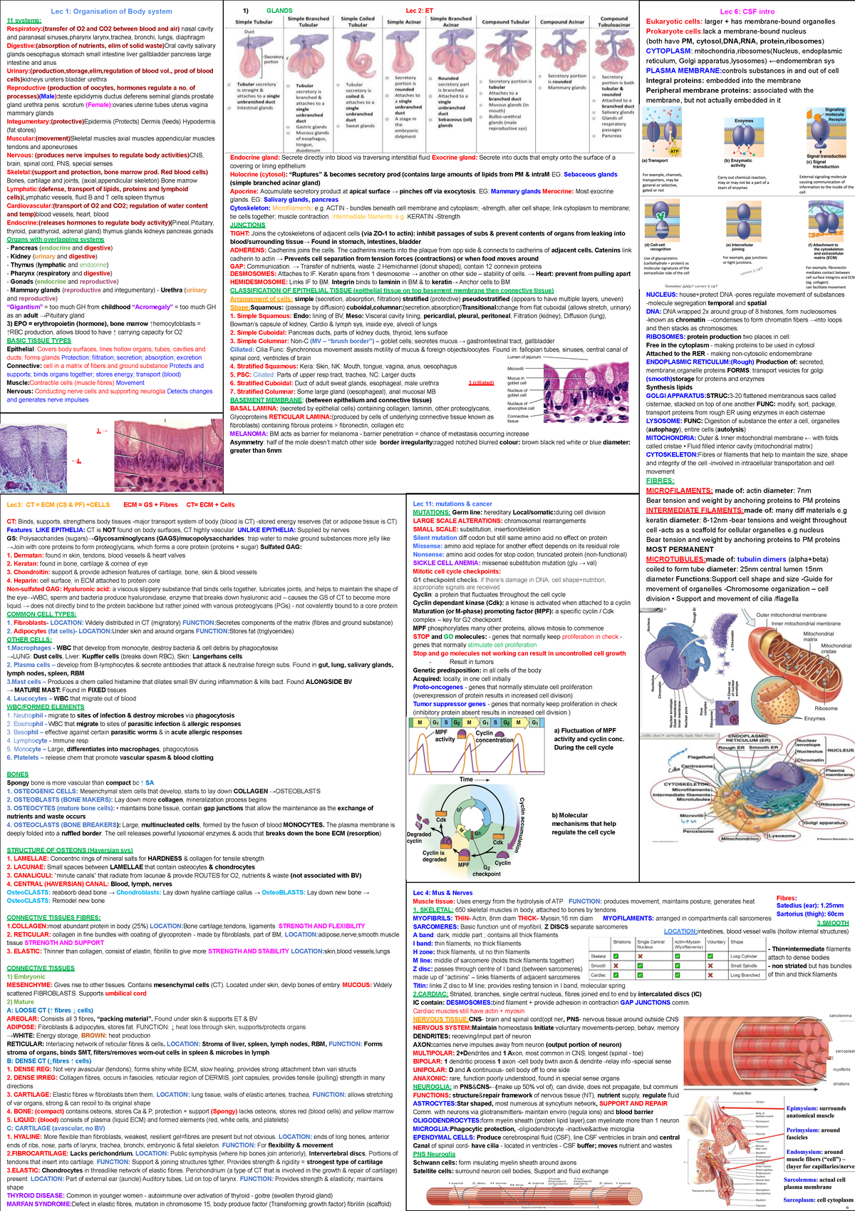 Biosci 107 cheat sheet-2 - Lec 6: CSF intro Eukaryotic cells: larger ...