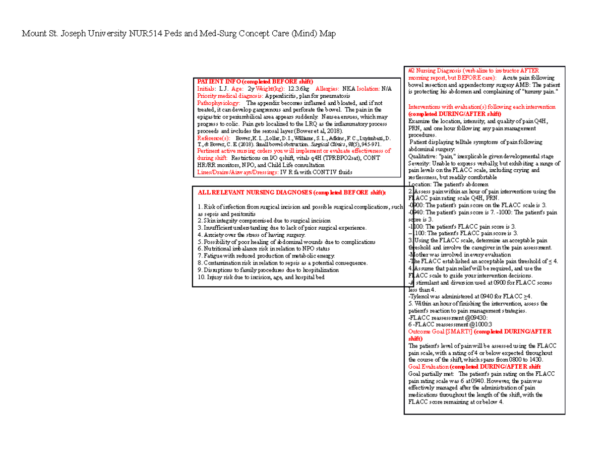 Concept Care (Mind) Map NUR514 Peds and Med-Surg. Done - Mount St ...