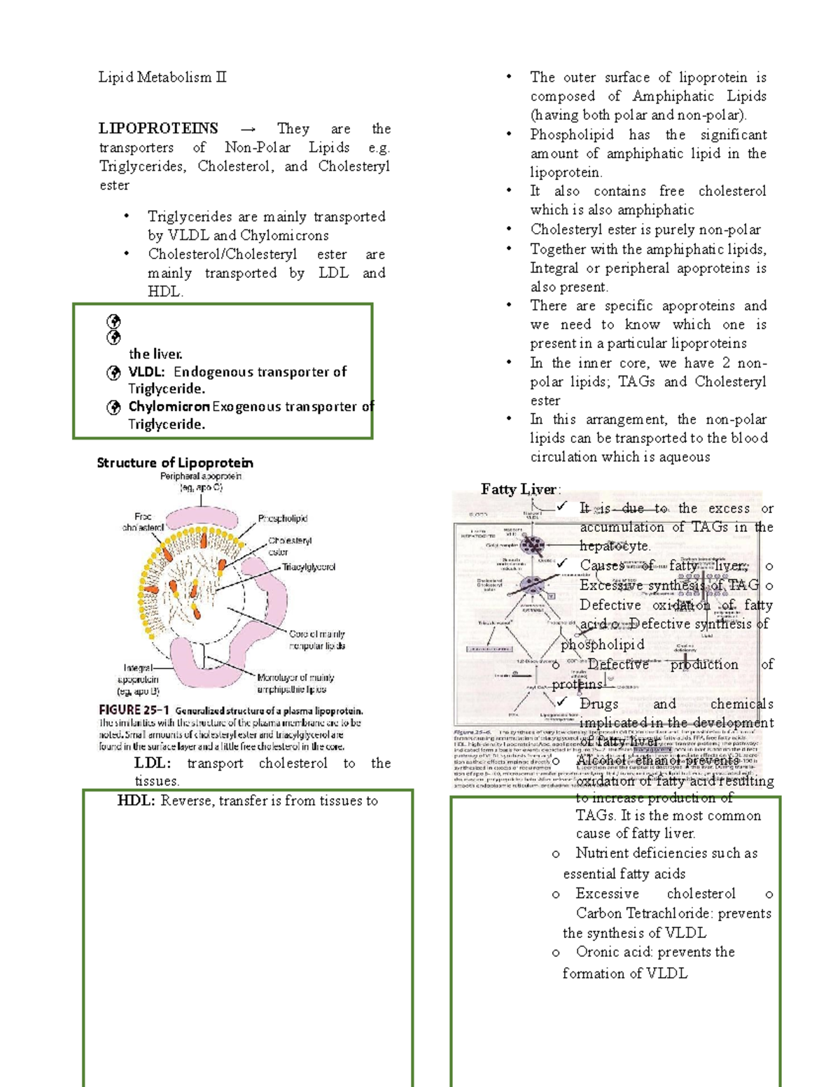 Biochemistry - Lipid 2 - LECTURE NOTES (MED SCHOOL)LECTURE NOTES (MED ...