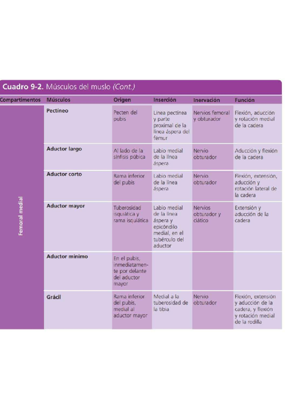 Musculos - Cuadro Músculos del muslo (Cont.) Compartimentos Músculos ...