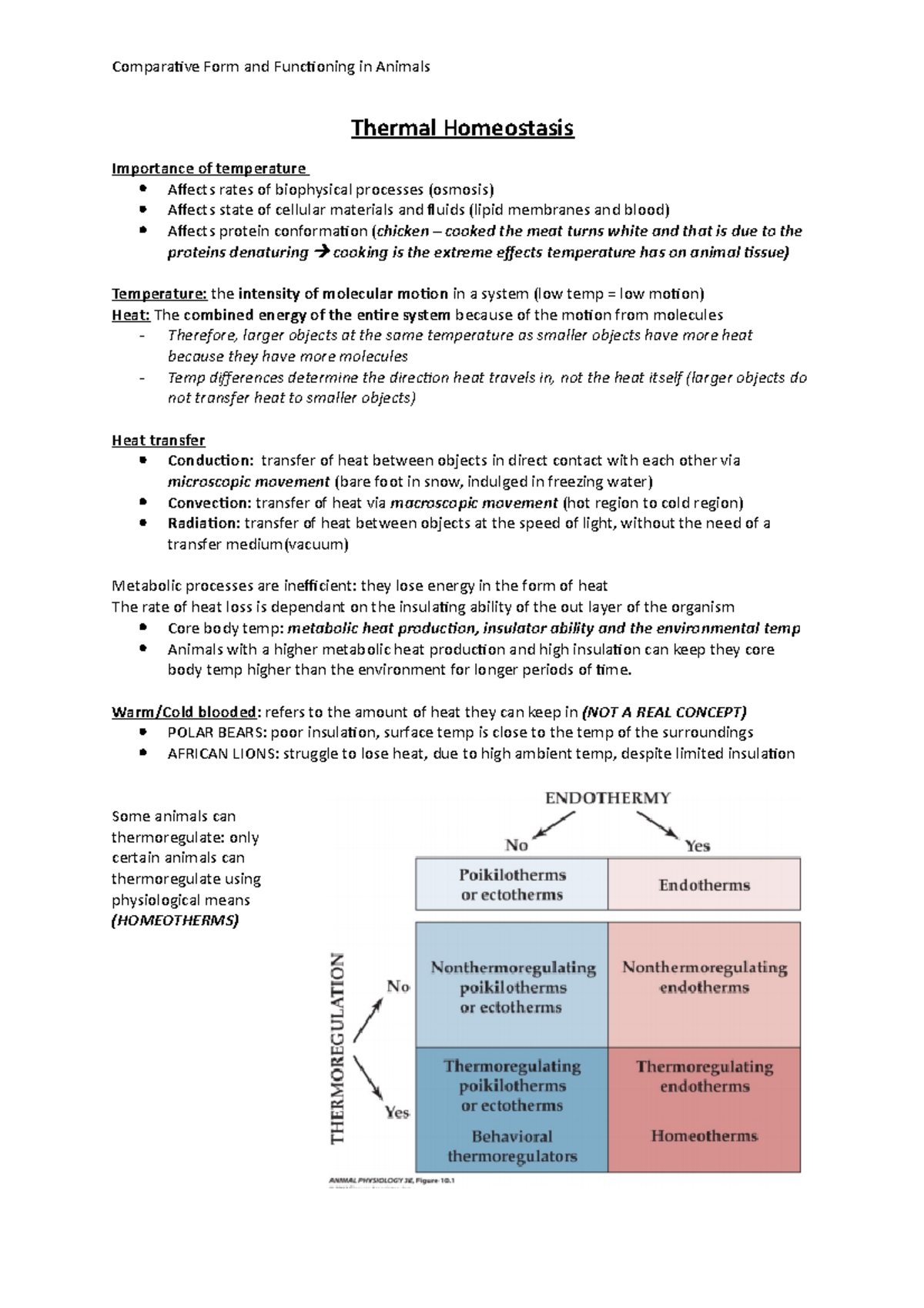 Thermal Homeostasis - notes - Thermal Homeostasis Importance of ...