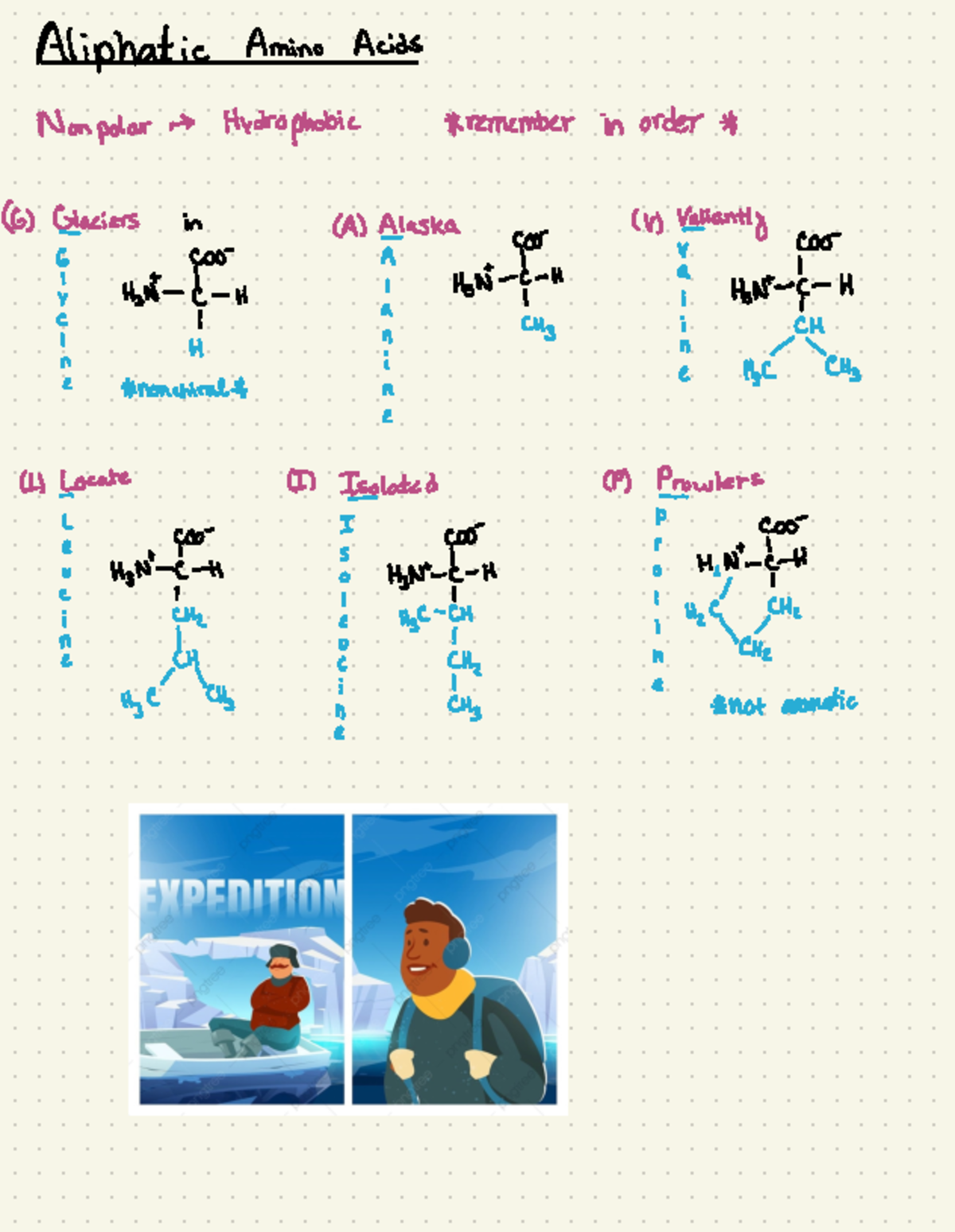 Memorize Amino Acids - Aliphatic Amino Acids Nonpolar - Hidrophobic ...