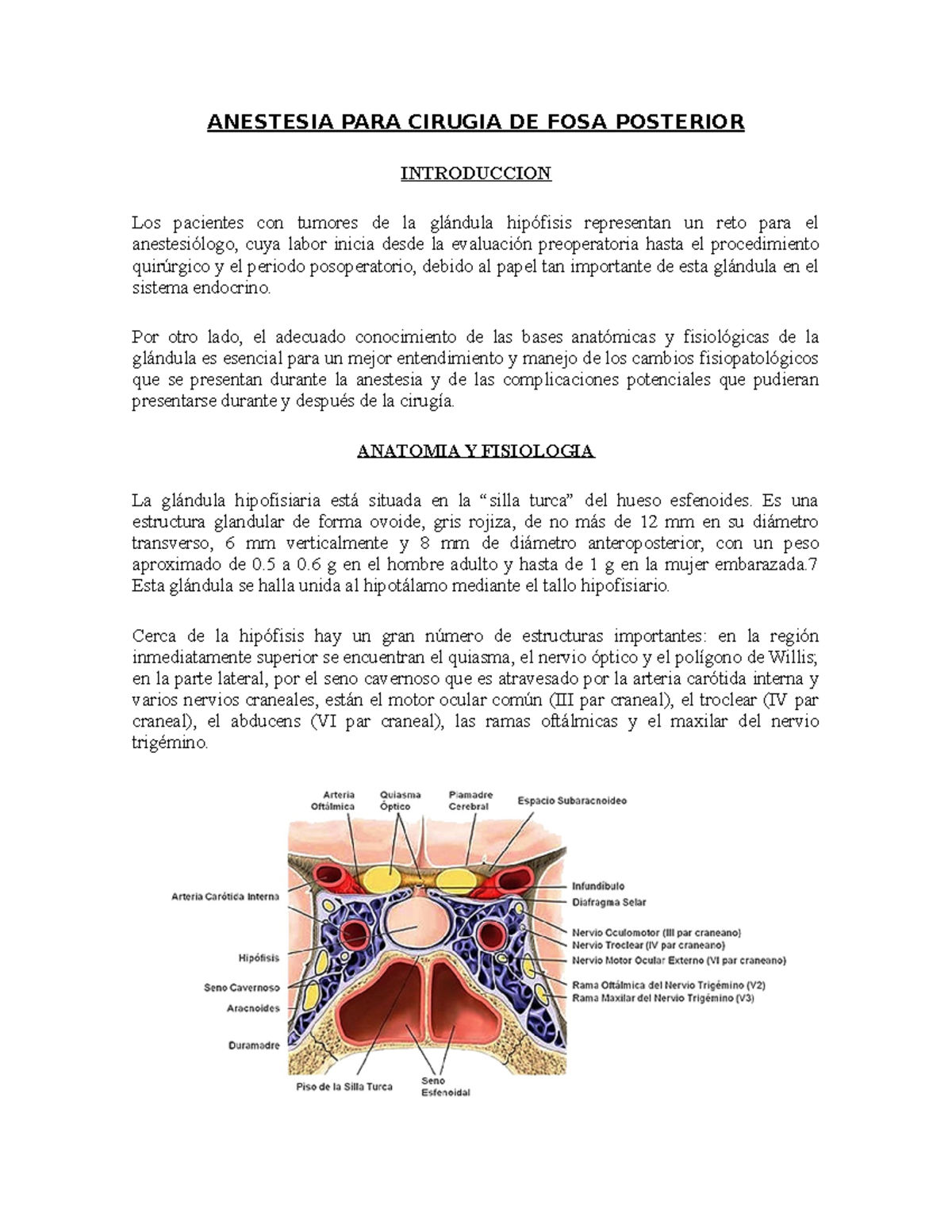 Protocolo Neuro LUIS - anestesia - ANESTESIA PARA CIRUGIA DE FOSA ...
