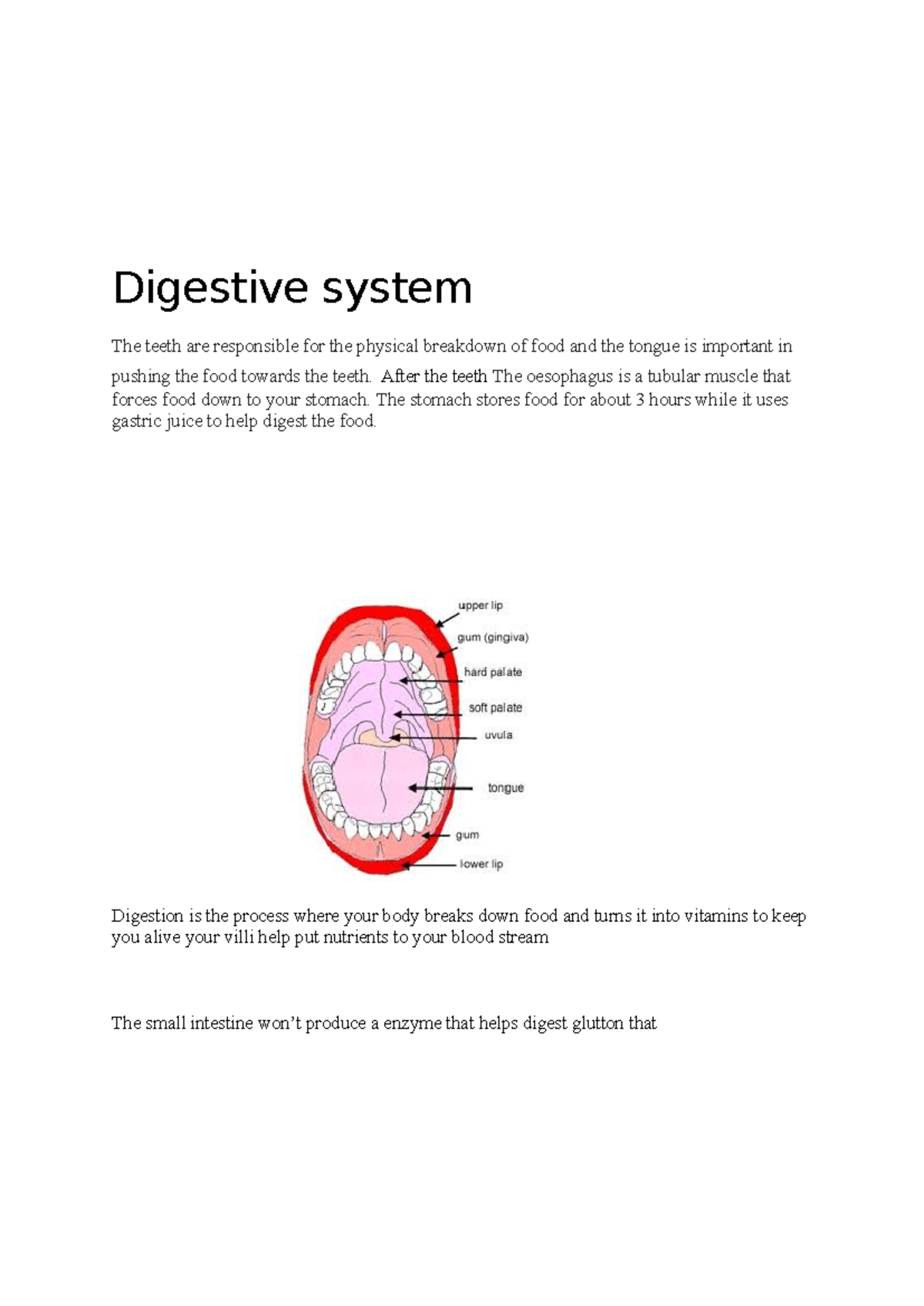 Digestive system - wdasd - Digestive system The teeth are responsible ...