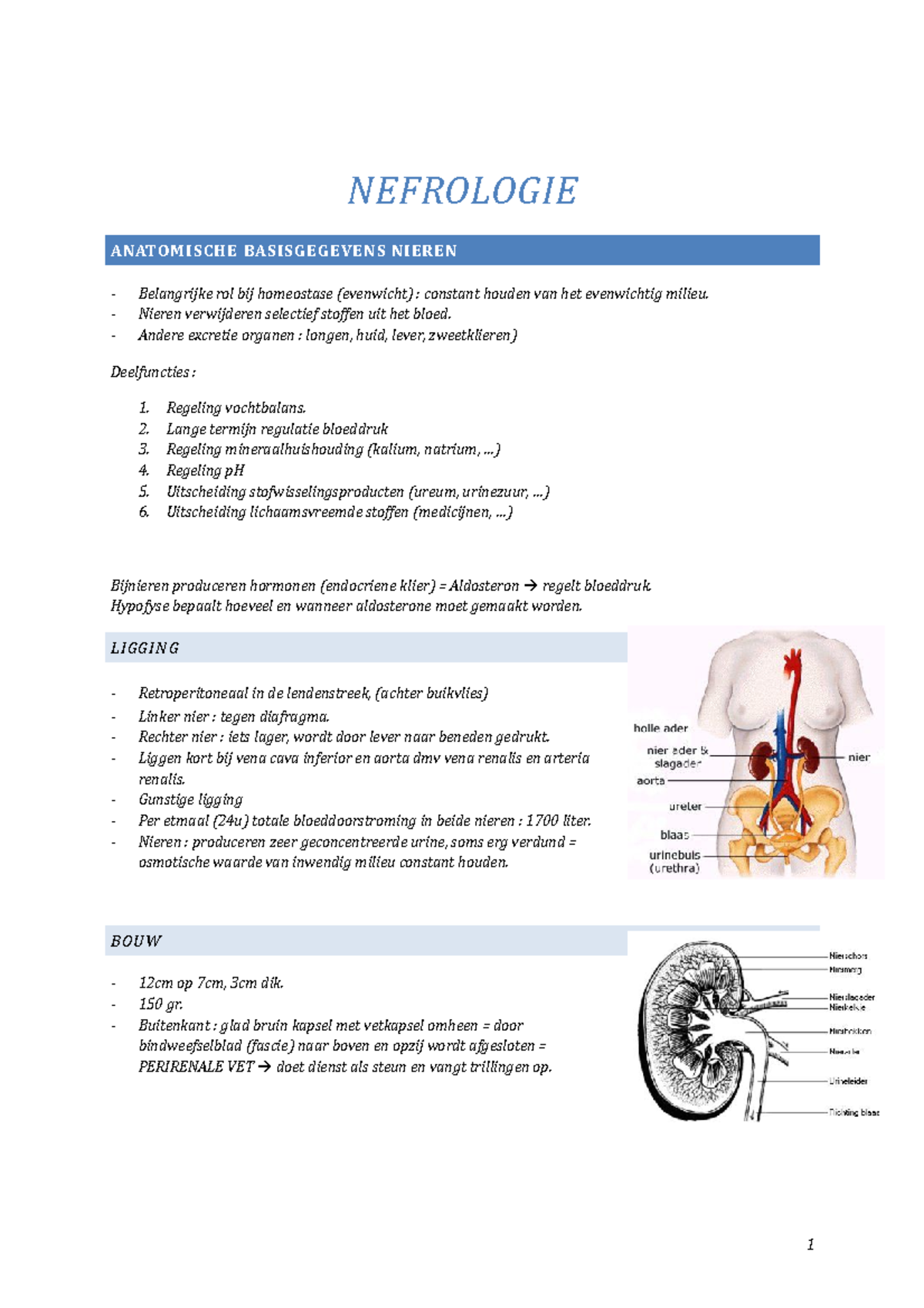 Nefrologie - Samenvatting - nefrologie - NEFROLOGIE ANATOMISCHE ...