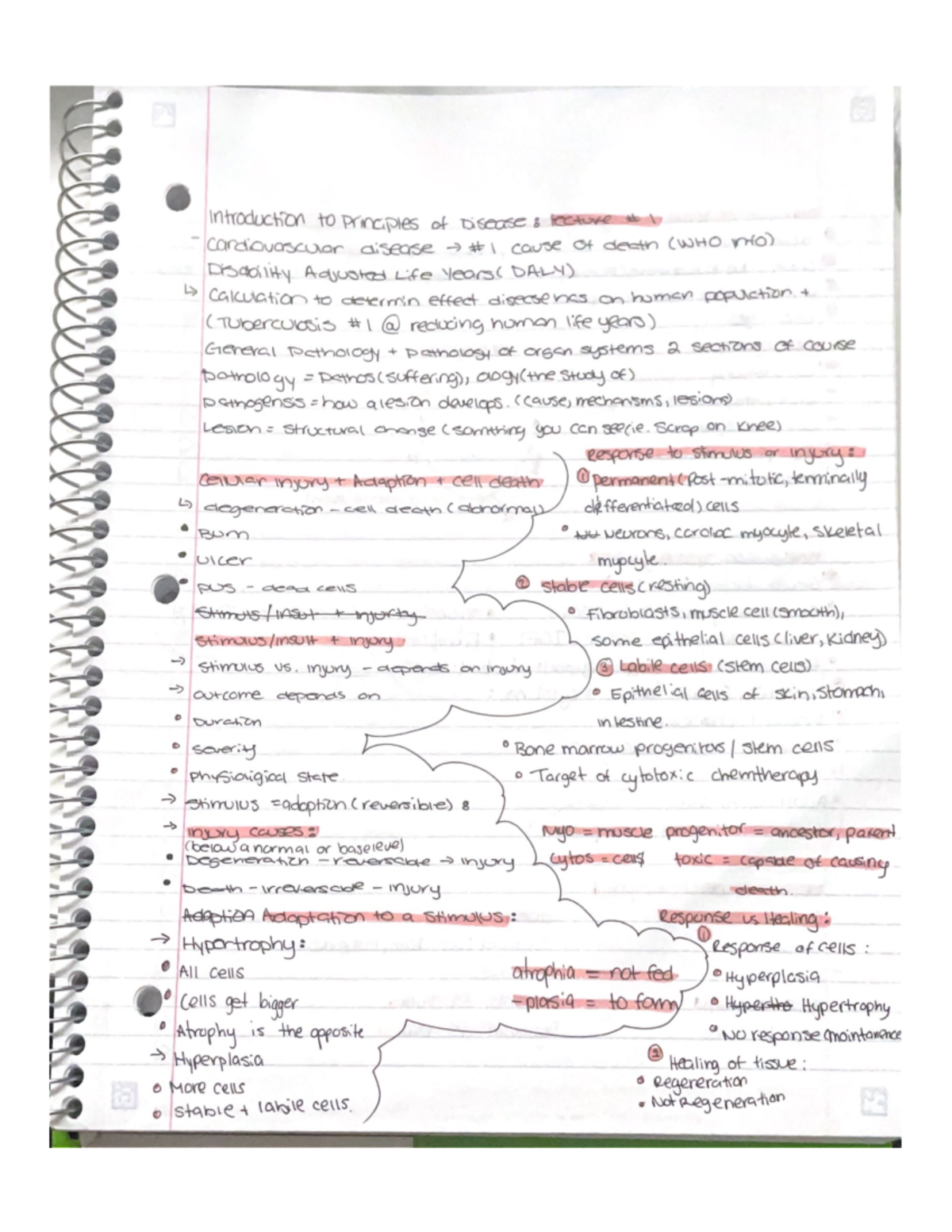 Lecture 1 Notes - Path3610 - Studocu