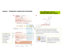 Lesson 4 Equilibrium (Discount and Premium) - We don’t have to time the ...