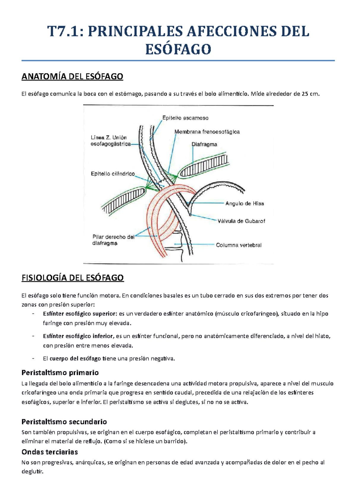 TEMA 7.1. CT - SERAFÍN - T7: PRINCIPALES AFECCIONES DEL ESÓFAGO ...