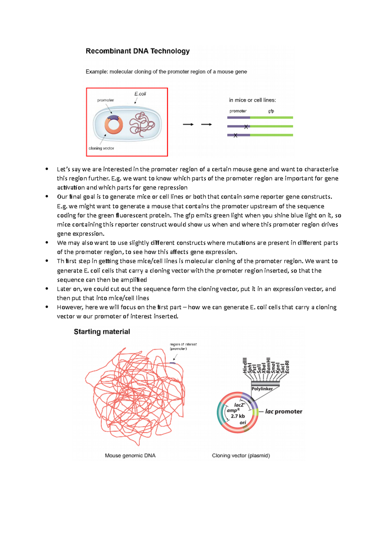Recombinant DNA tech problem solving - Let’s say we are interested in ...
