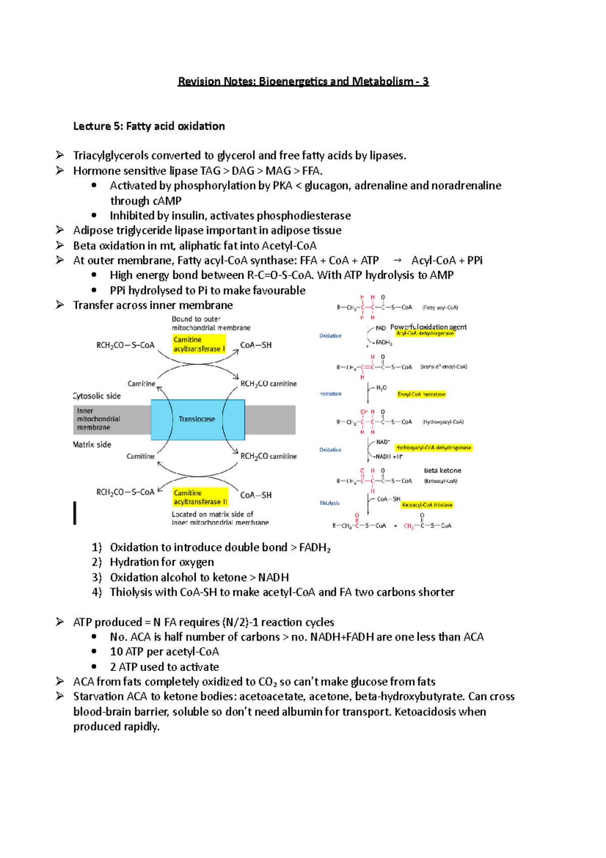 MIMs - Michaelmas - Revision - Bioenergetics and Metabolism - 3 ...