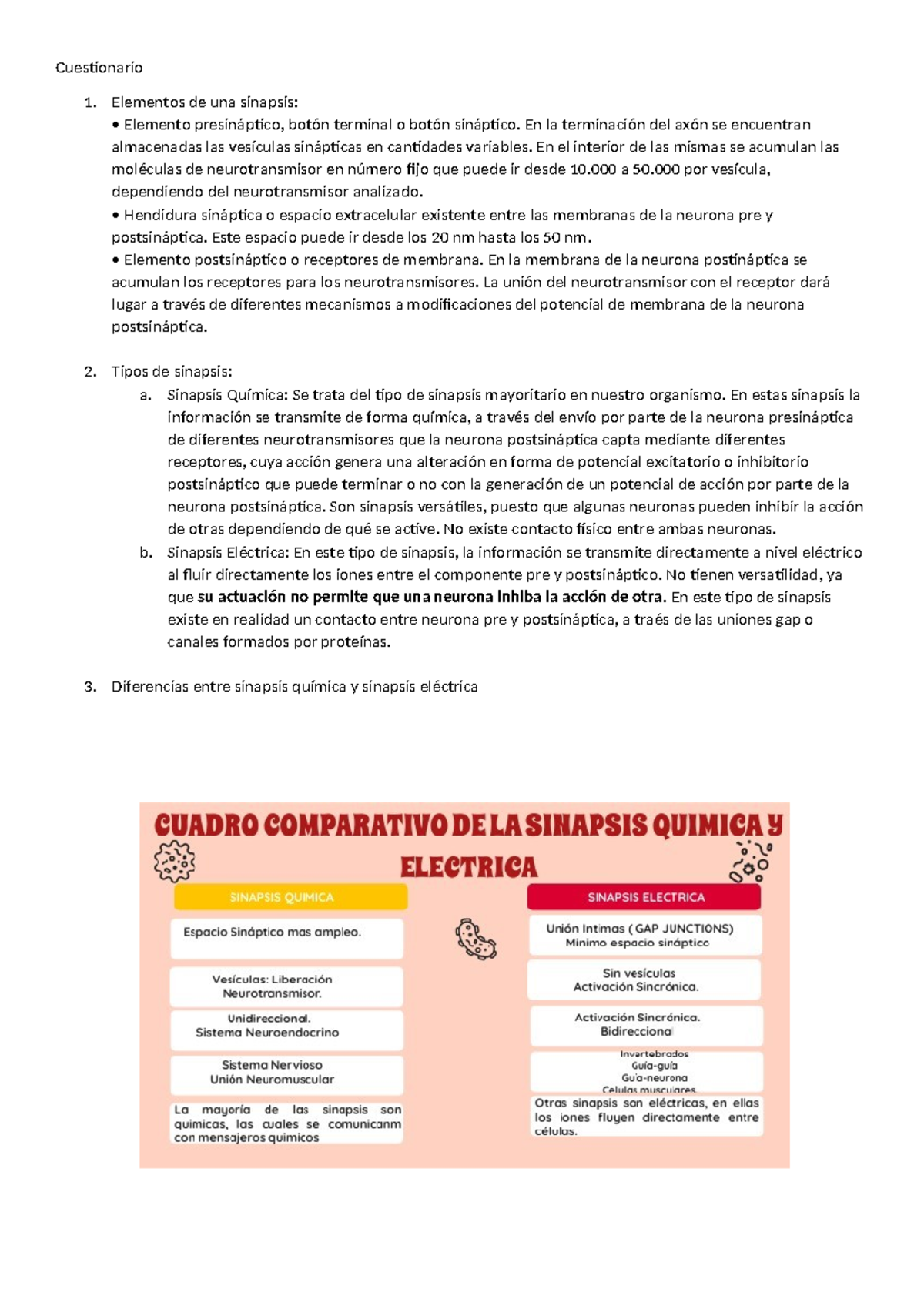 Cuestionario - Elementos de una sinapsis: - Elemento presináptico ...