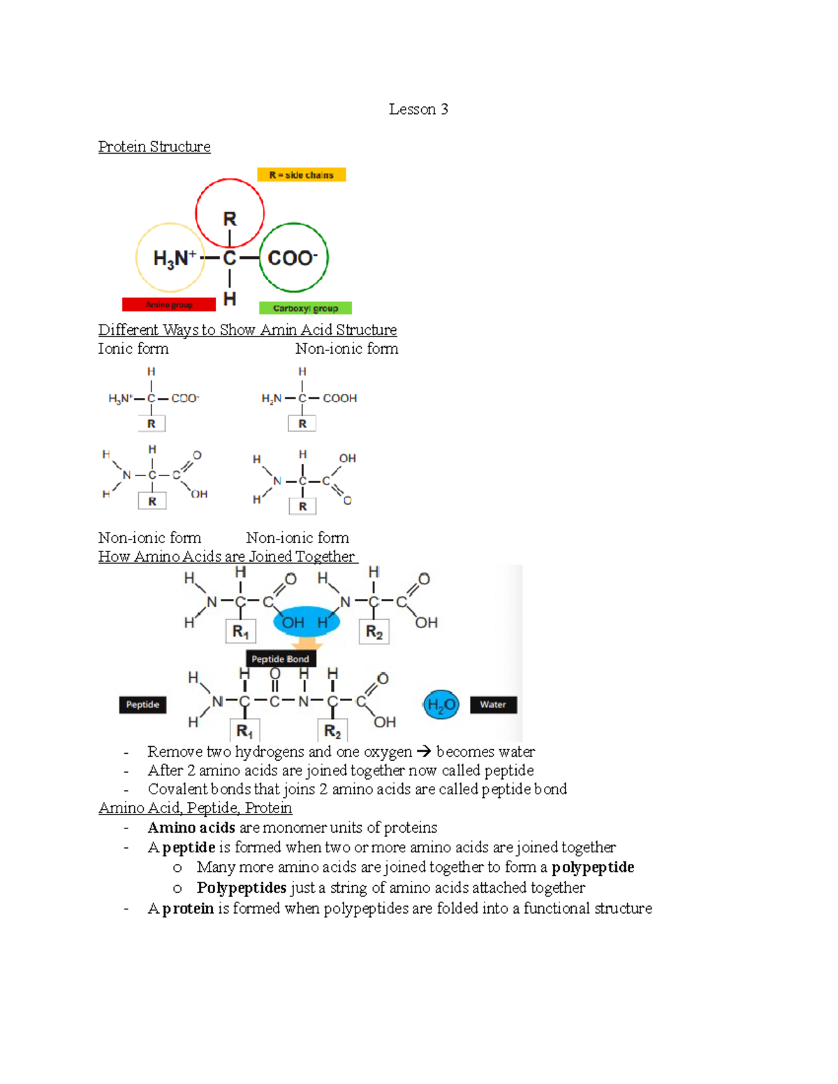 Lesson 3 - Lecture notes 3 - Lesson 3 Protein Structure Different Ways ...
