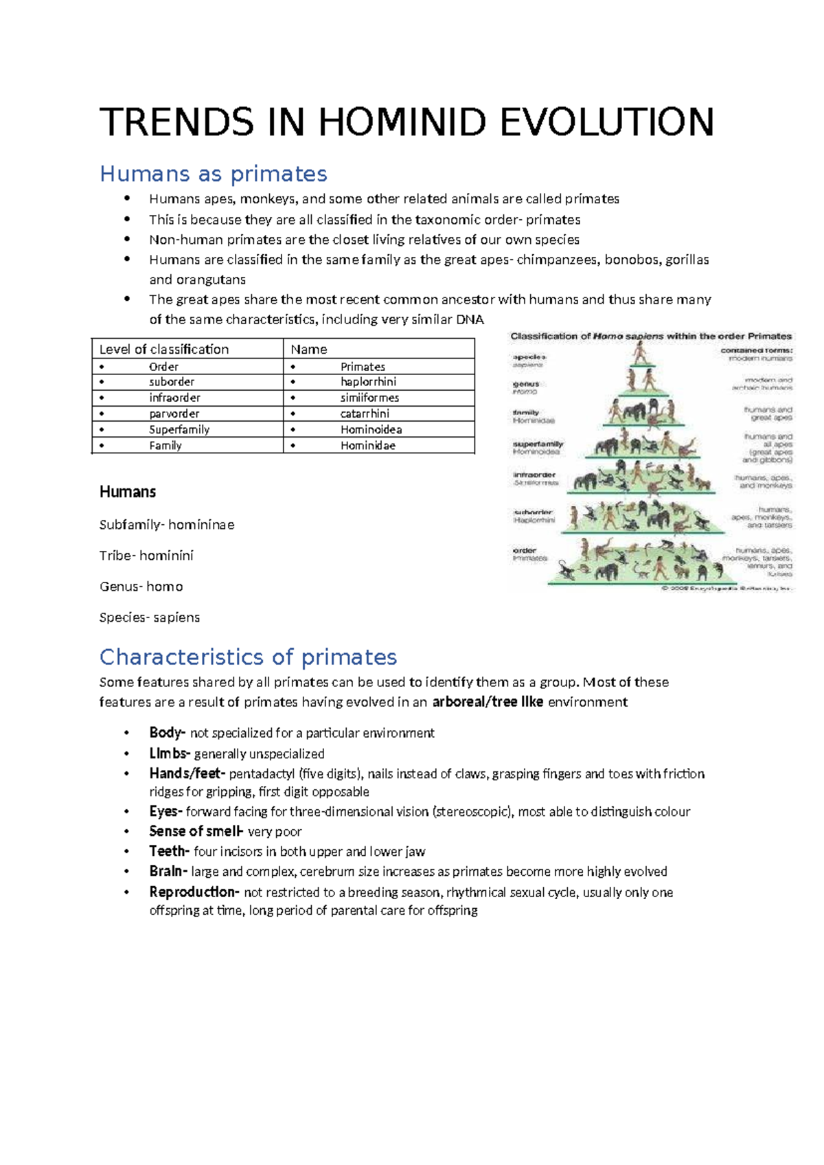 Trends IN Hominid Evolution - TRENDS IN HOMINID EVOLUTION Humans as ...