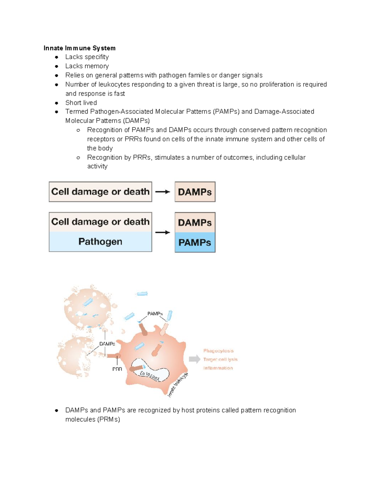 Lecture 2- Innate and Acquired Immunity - Innate Immune System Lacks ...