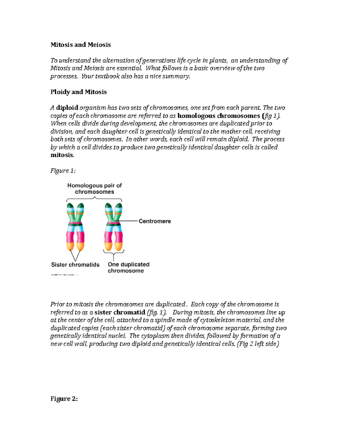 Mitosis and Meiosis review - Mitosis and Meiosis To understand the ...