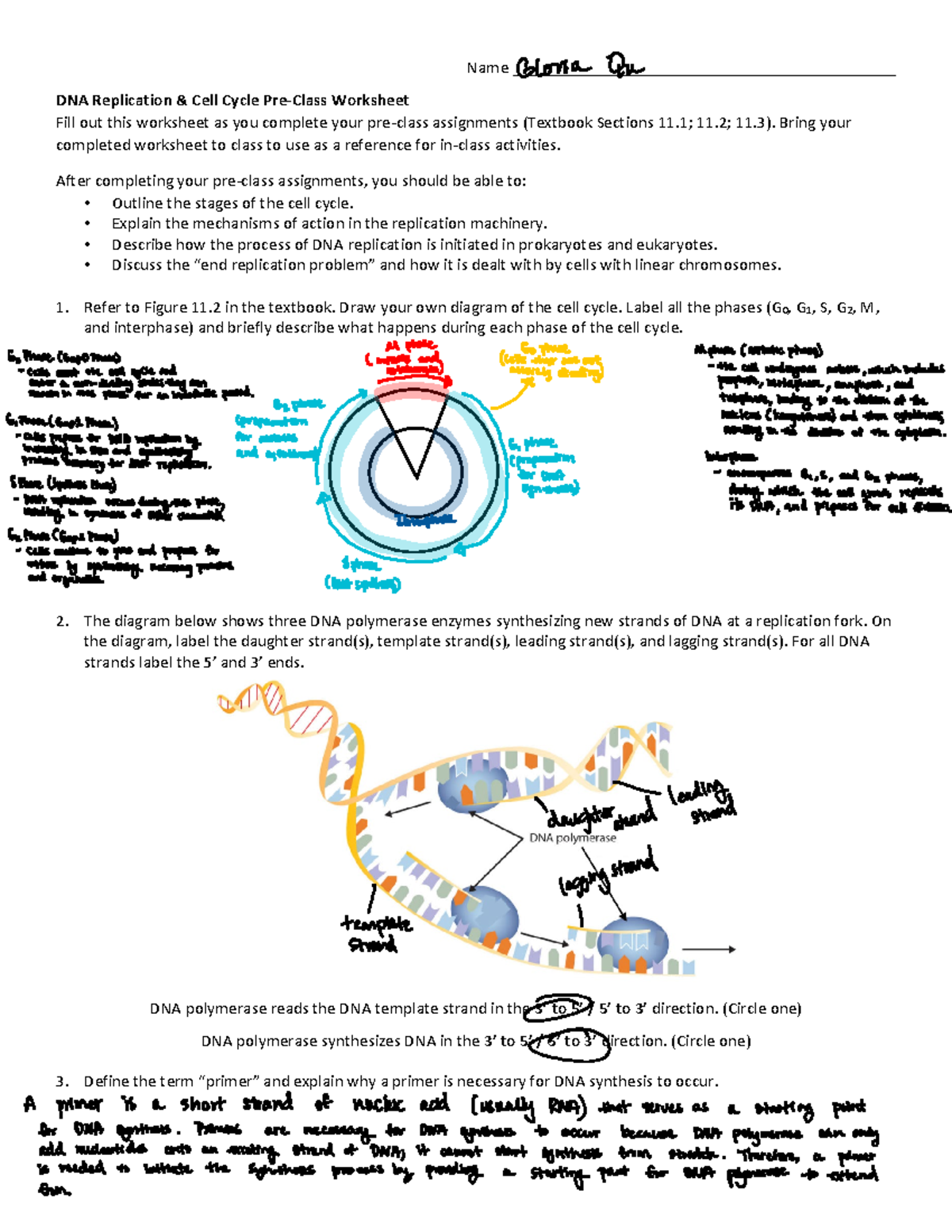 Kami Export - Week 9a Pre-Class Reading Guide - DNA Replication Cell ...