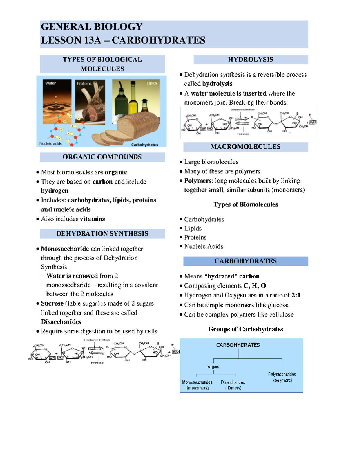 GEN BIO Lesson 13A Carbohydrates - Anatomy and Physiology (Lec/lab ...