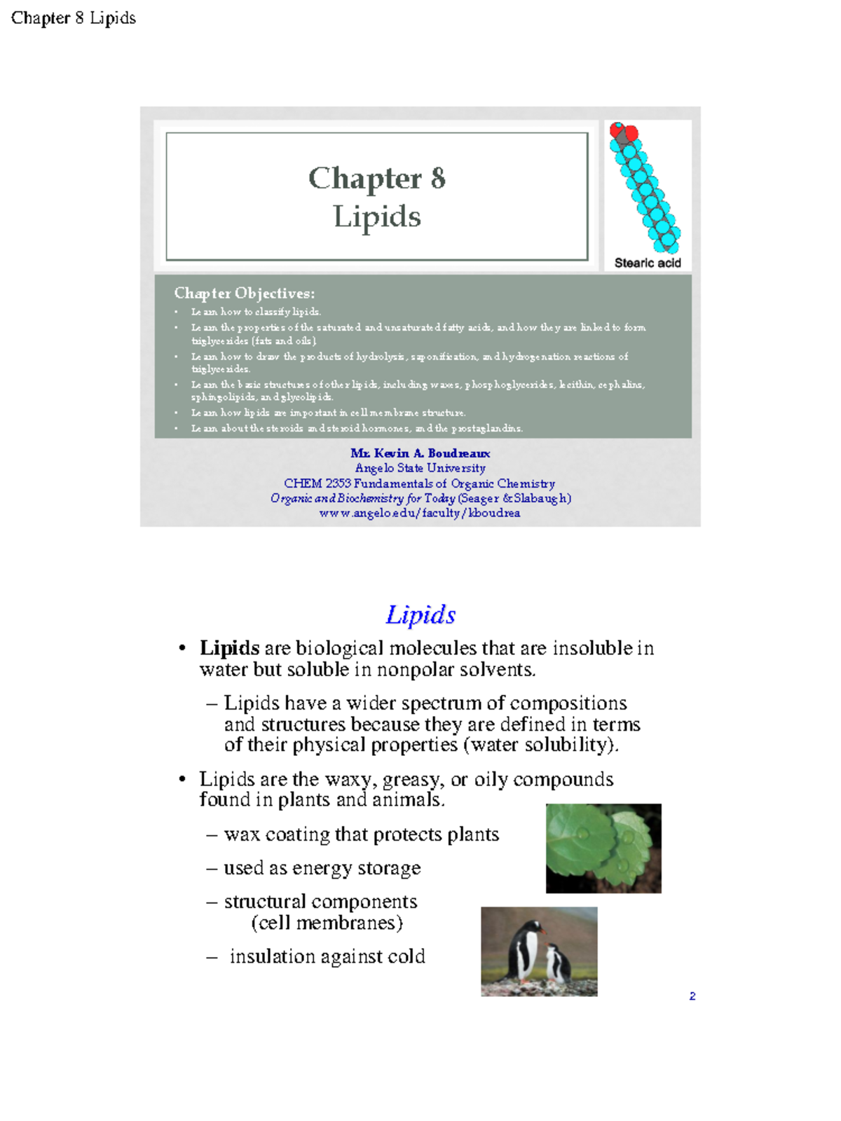 Lipid - Mr. Kevin A. Boudreaux Angelo State University CHEM 2353 ...