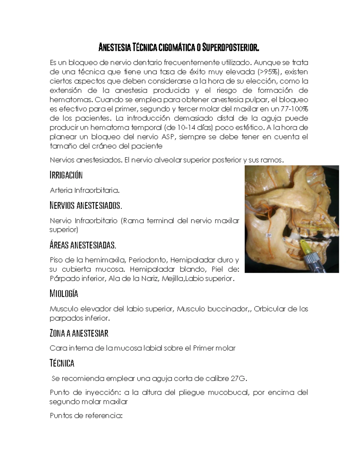 La notocorda - La notocorda: - Es una estructura cilíndrica de células ...