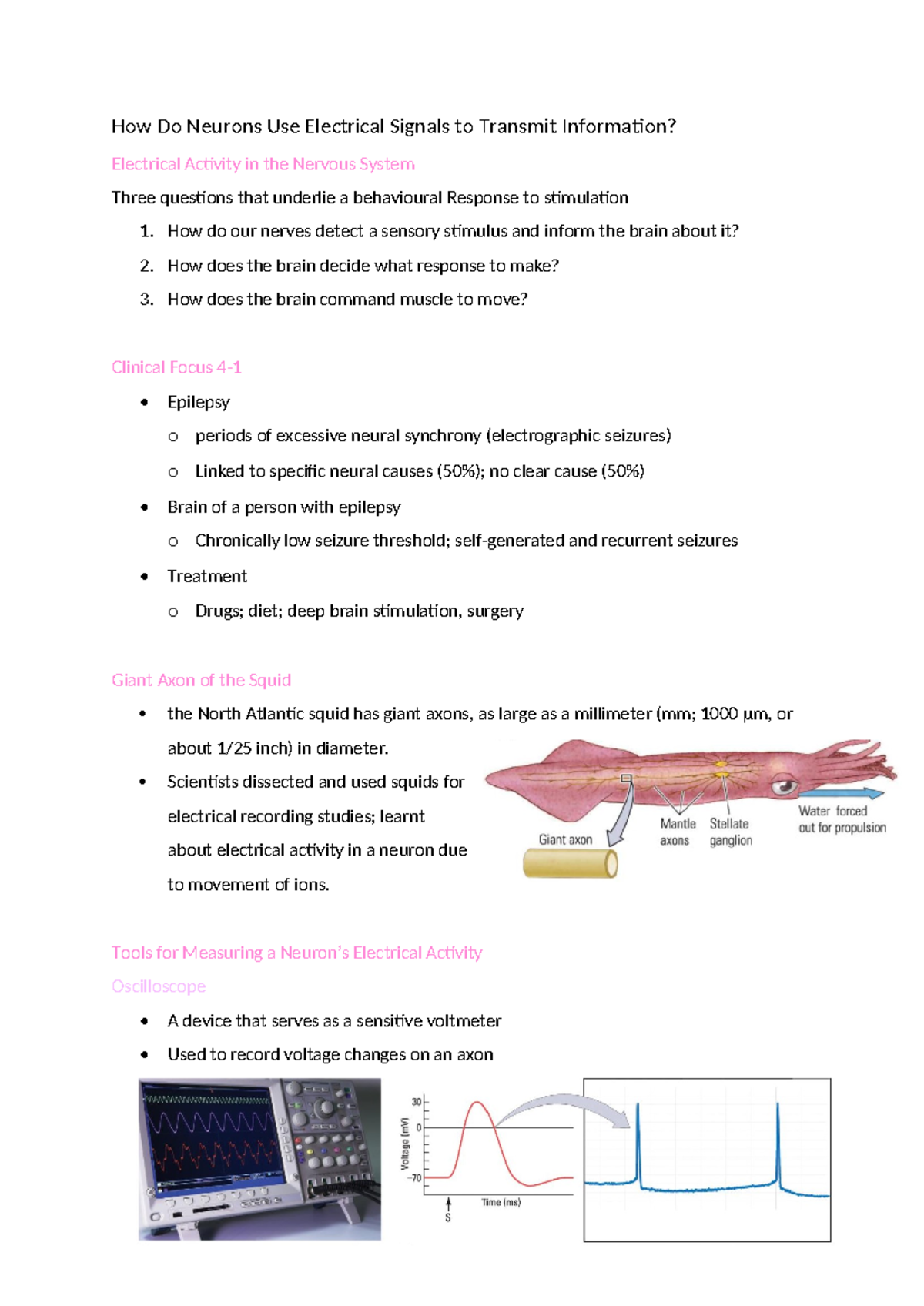 Workshop 4 - How Do Neurons Use Electrical Signals to Transmit ...
