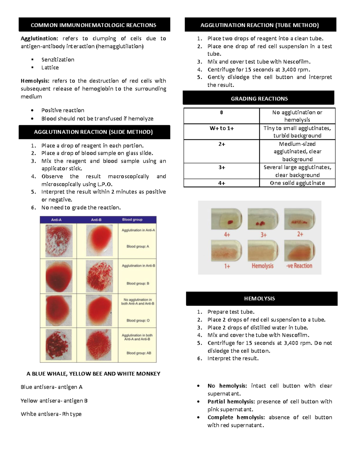Common Immunohematologic Reactions - COMMON IMMUNOHEMATOLOGIC REACTIONS ...
