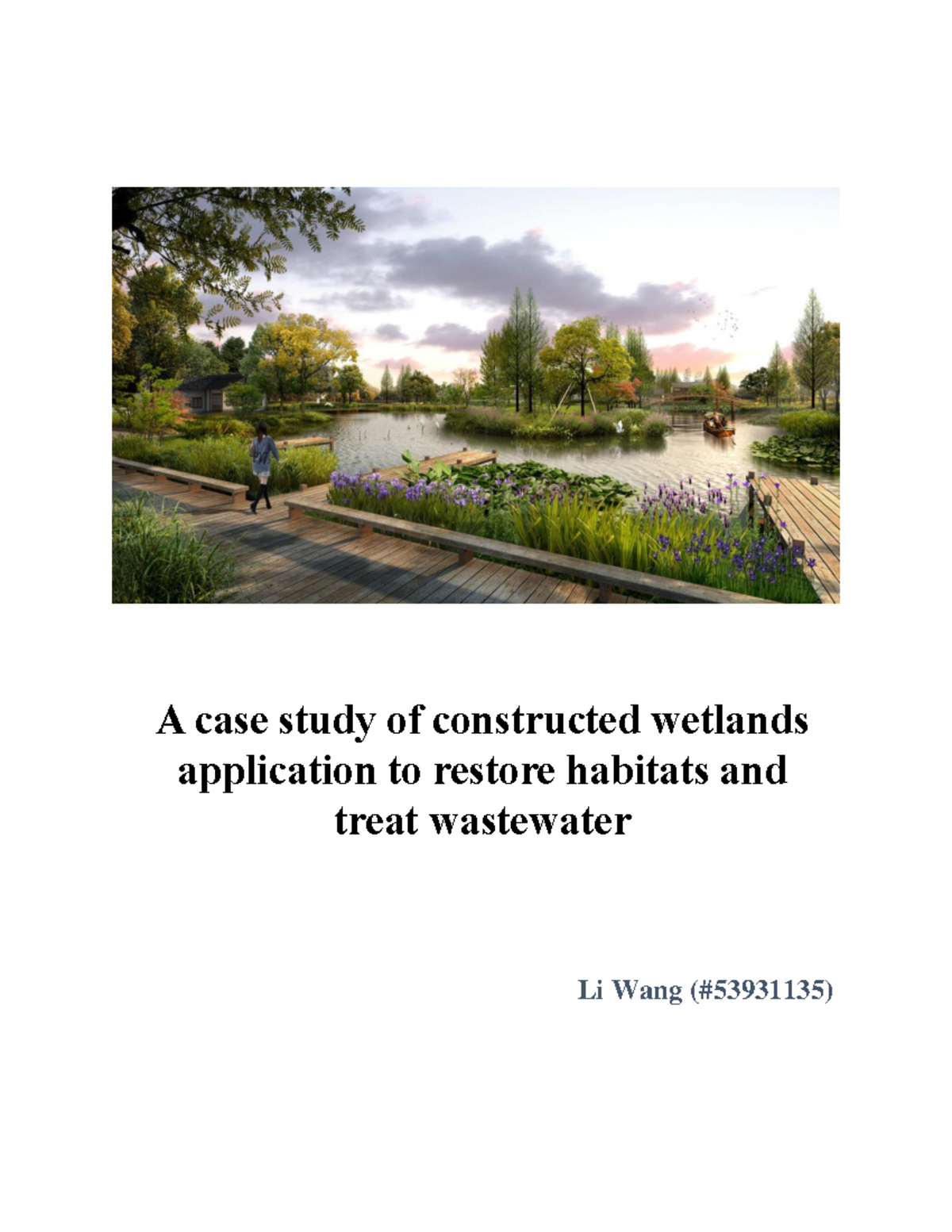 Constructed Wetland CASE Study - A case study of constructed wetlands ...