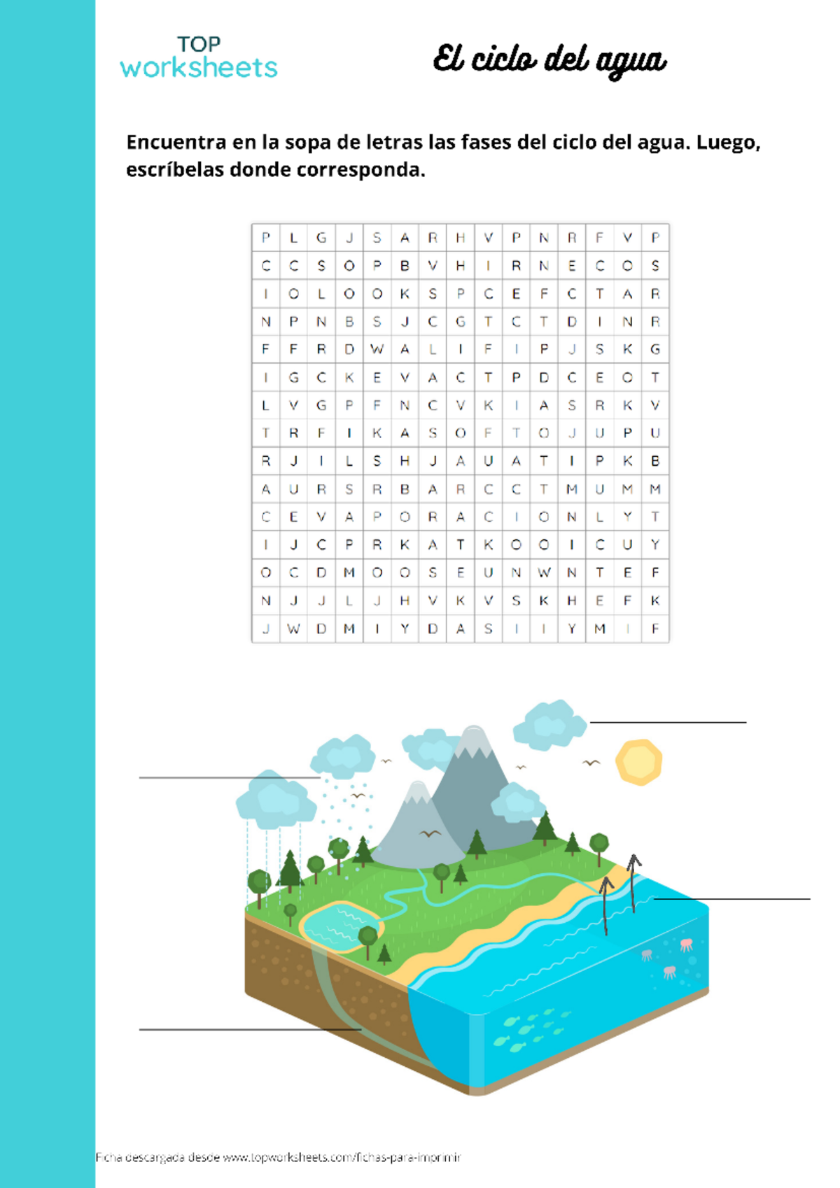 Sopa-de-letras -El-ciclo-del-agua - Biología General - Studocu