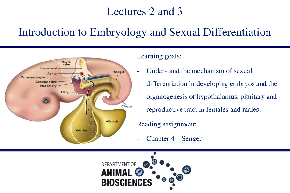 20-01-08&10 - Lectures 2 and 3 - Introduction to Embryology and Sexual ...