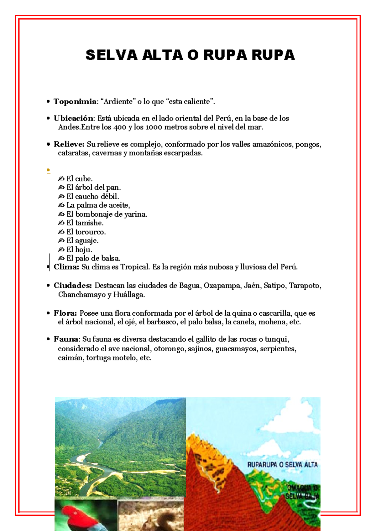 vertebrados e invertebrados - SELVA ALTA O RUPA RUPA Toponimia ...