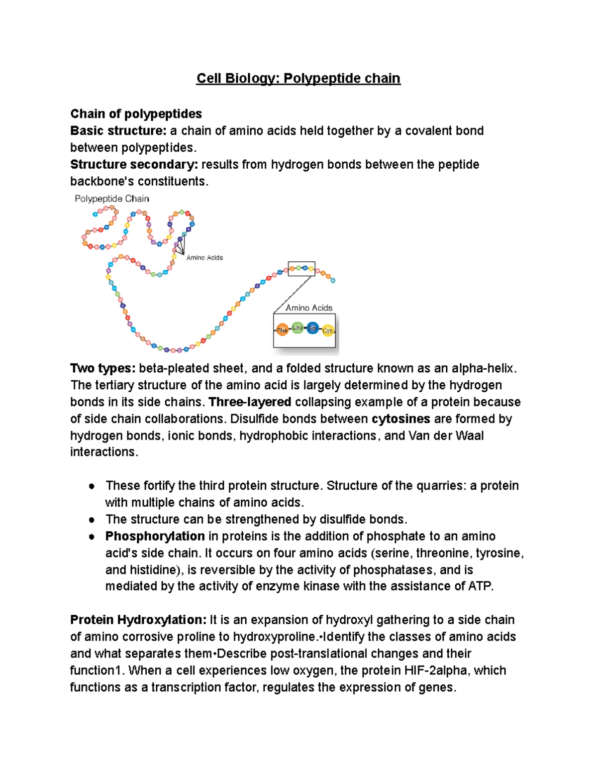 Cell Biology Polypeptide chain - Cell Biology: Polypeptide chain Chain ...