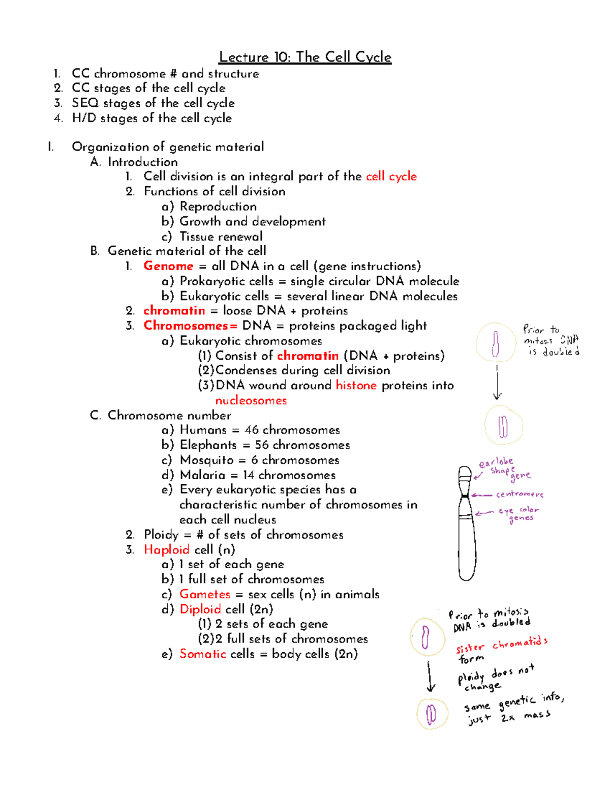 Biology Chapter 10 - The Cell Cycle - Lecture 10: The Cell Cycle CC ...