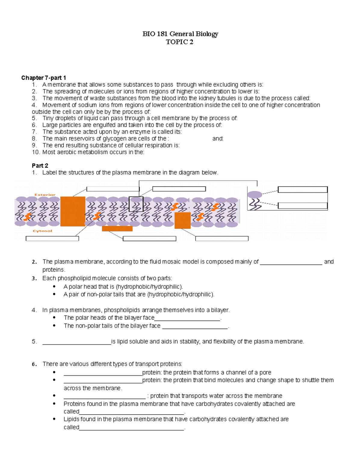WEEK 4-HW- CH 7 worksheet - BIO 181 General Biology TOPIC 2 Chapter 7 ...