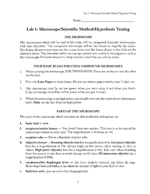 Lab 6 - Lab 6 answers for Dale McGabe - Lab 6: Photosynthesis Purpose ...