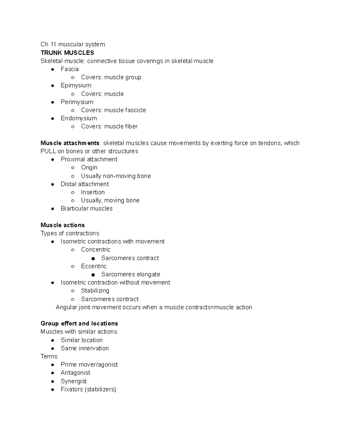 Untitled document-2 - Notes for exam 4. Muscular system overview with ...