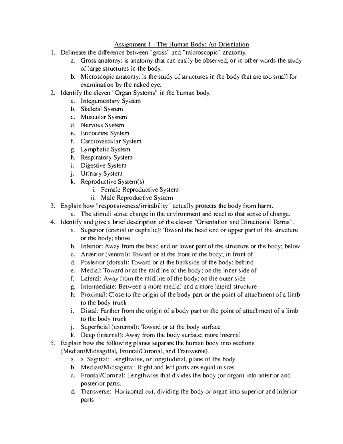 Assignment 1 - a anatomy: is anatomy that can easily be observed, or in ...