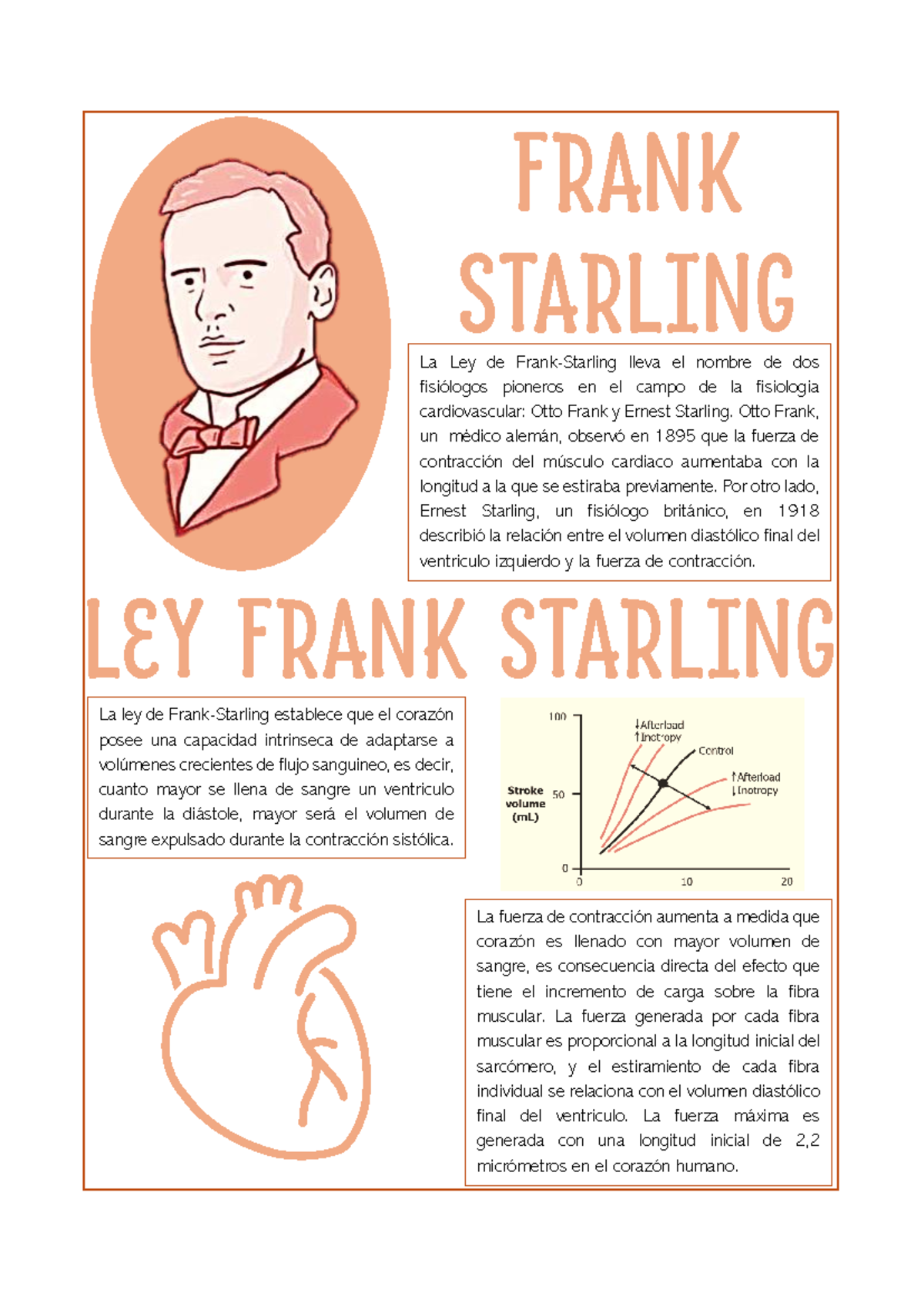 Frank Starling - FRANK STARLING LEY FRANK STARLING La ley de Frank ...