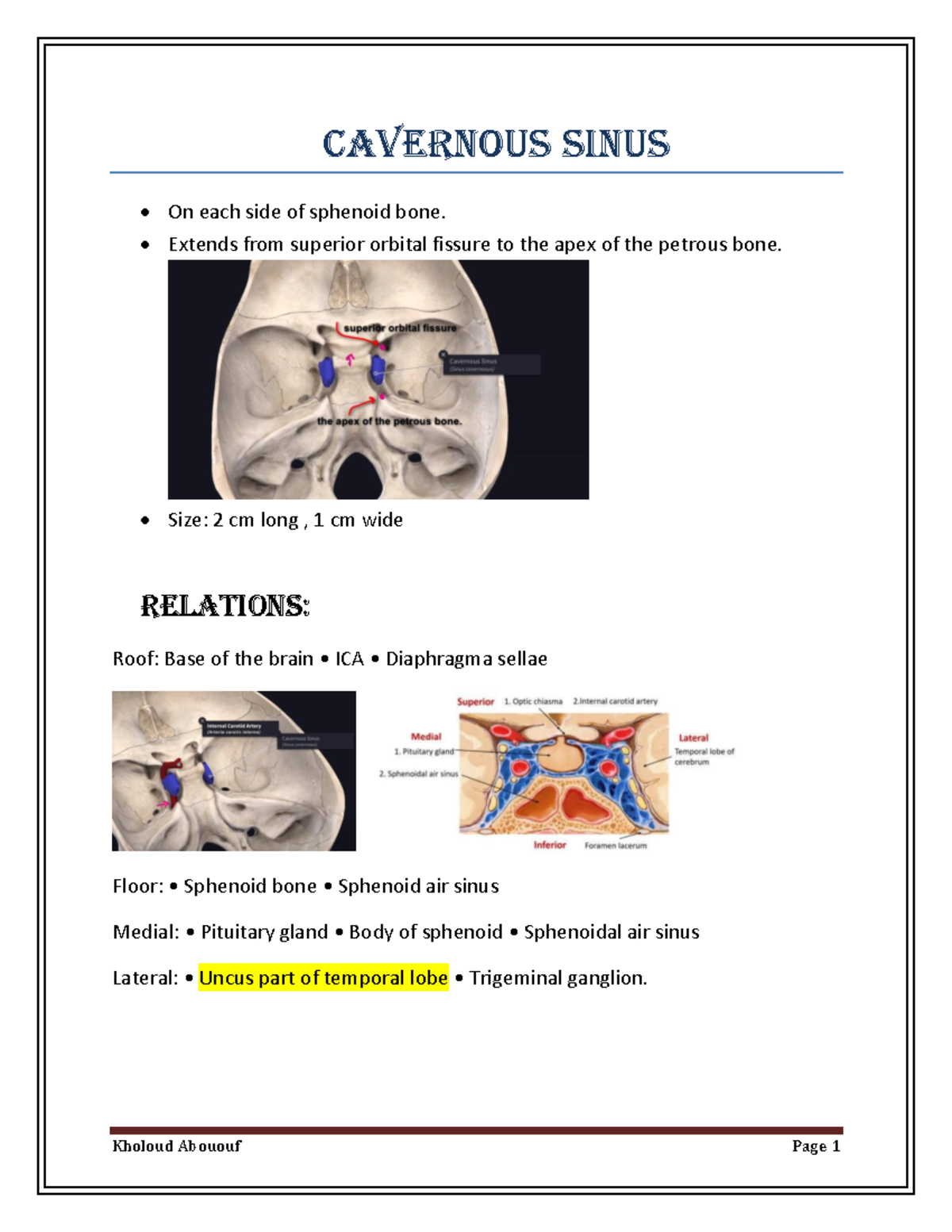 Cavernous sinus - physiology pathology - Kholoud Abououf Page 1 ...