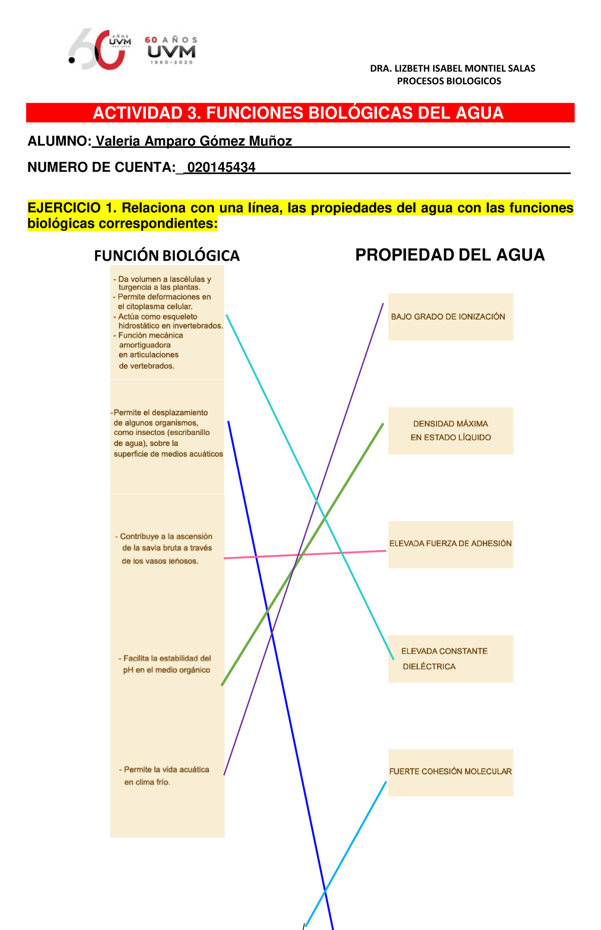 Actividad 3. Funciones Biológicas DEL AGUA - DRA. LIZBETH ISABEL ...