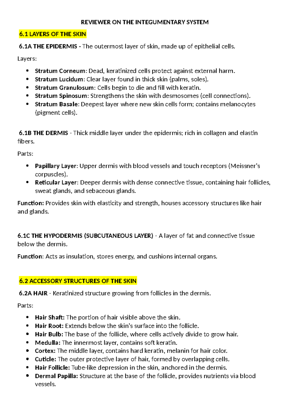 Anatomy and Physiology Integumentary - REVIEWER ON THE INTEGUMENTARY ...