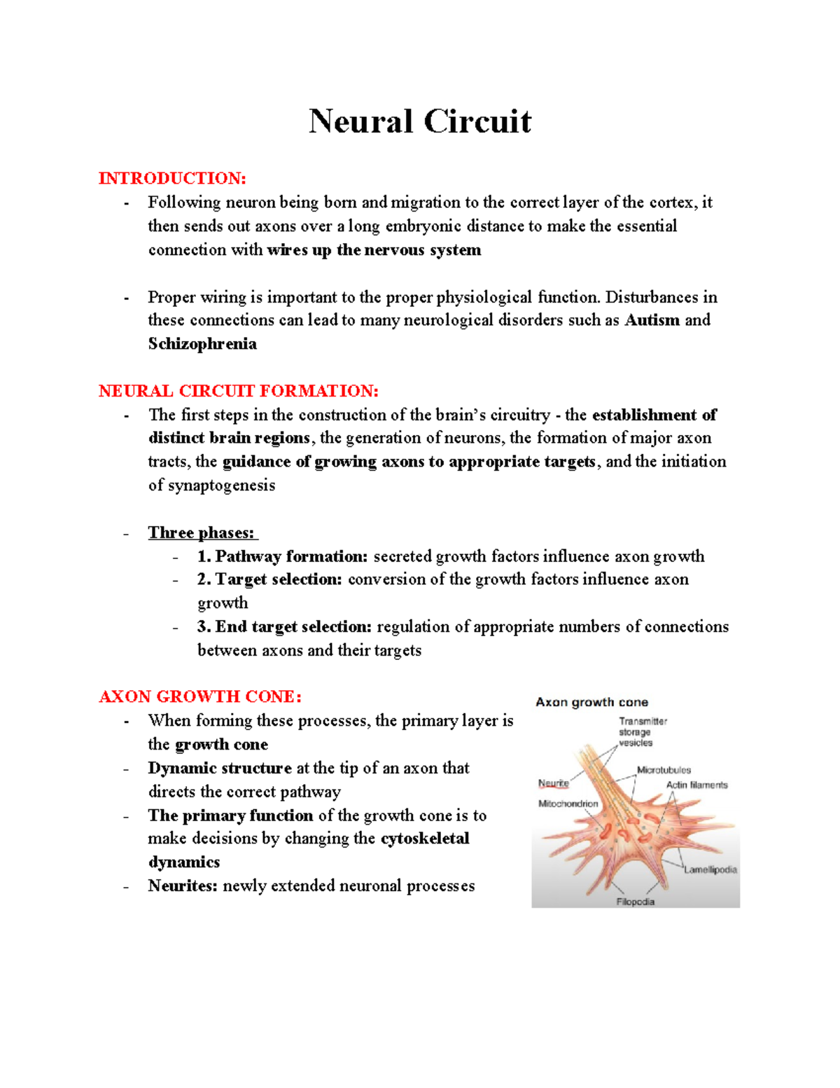 W9 Neural Circuit - W9 notes - Neural Circuit INTRODUCTION: Following ...