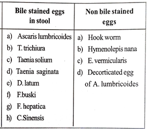 Sunlight- physical agent for sterilisation - Sunlight Sunlight ...
