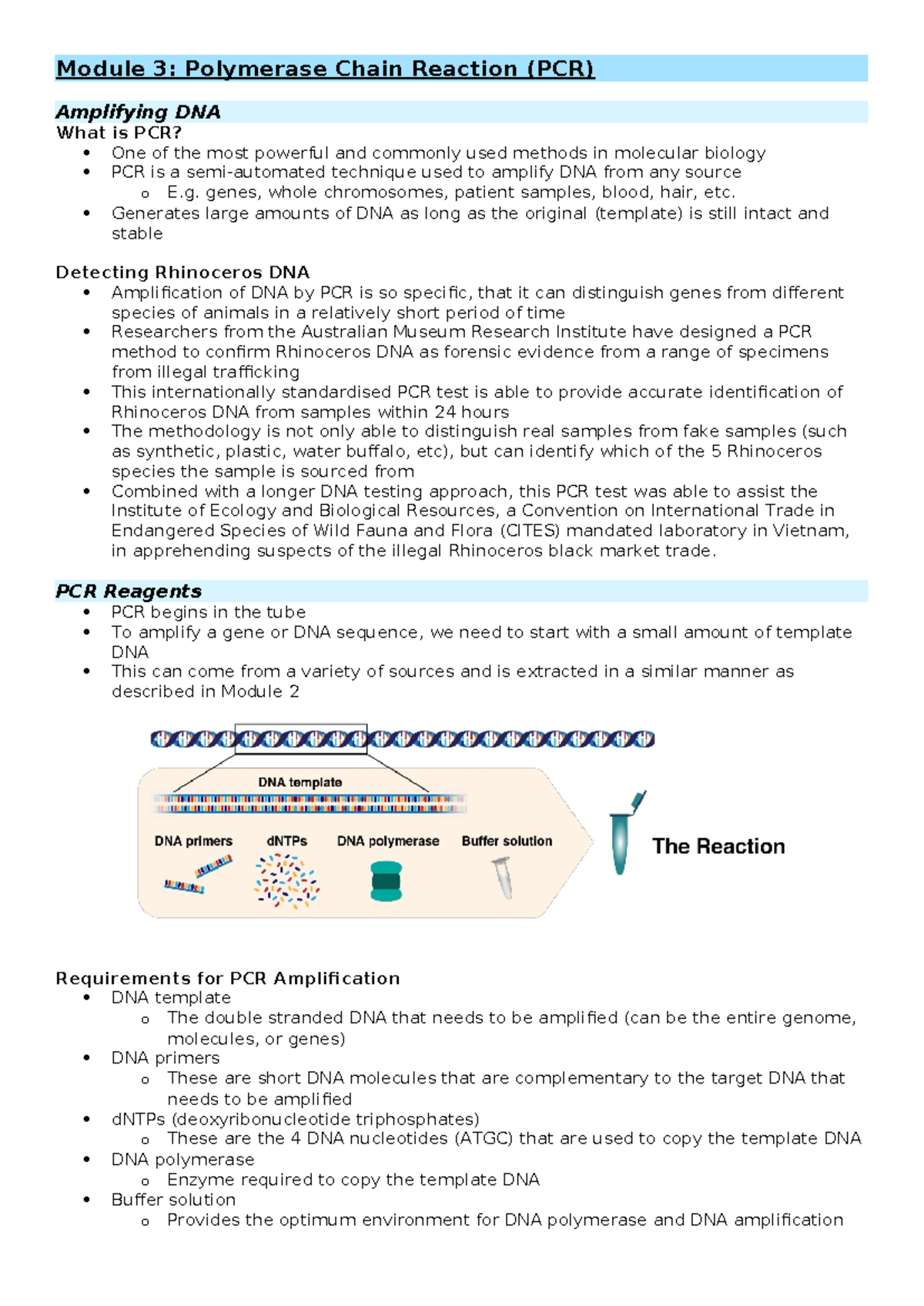 MB Mod 3 Notes - PCR - Module 3: Polymerase Chain Reaction (PCR ...