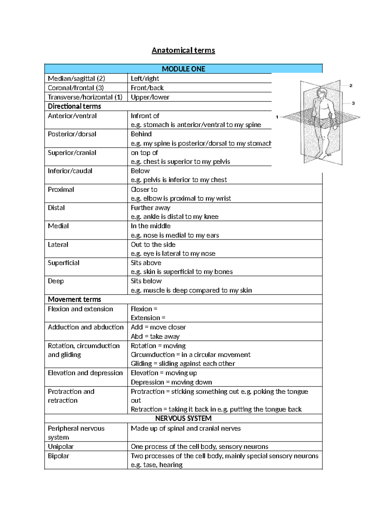 Anatomical terms - Summary Anatomy and Physiology for Speech Pathology ...